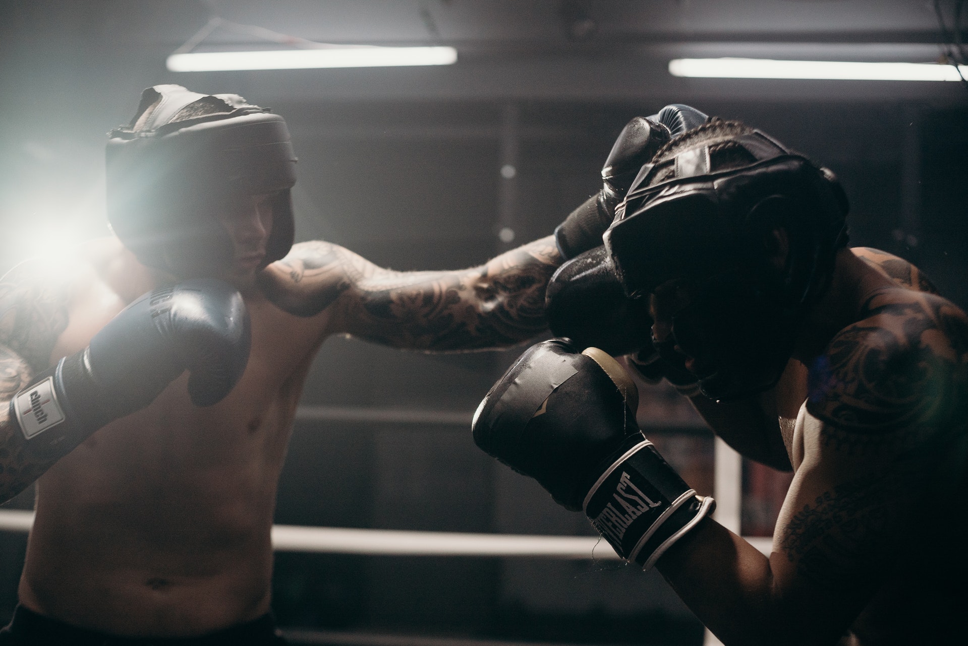 Boxing & MMA - Clearpoint Business Services